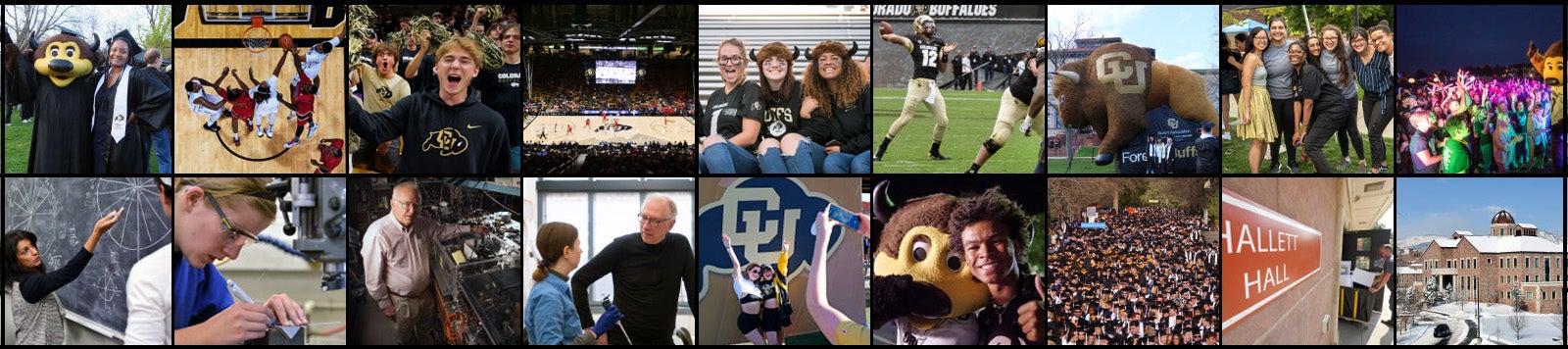 Position Profile | University of Colorado