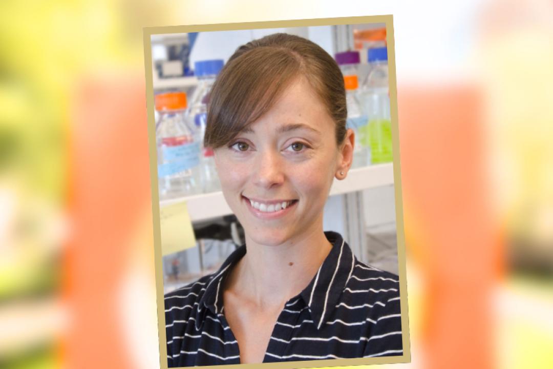 CU Careers Home | University of Colorado